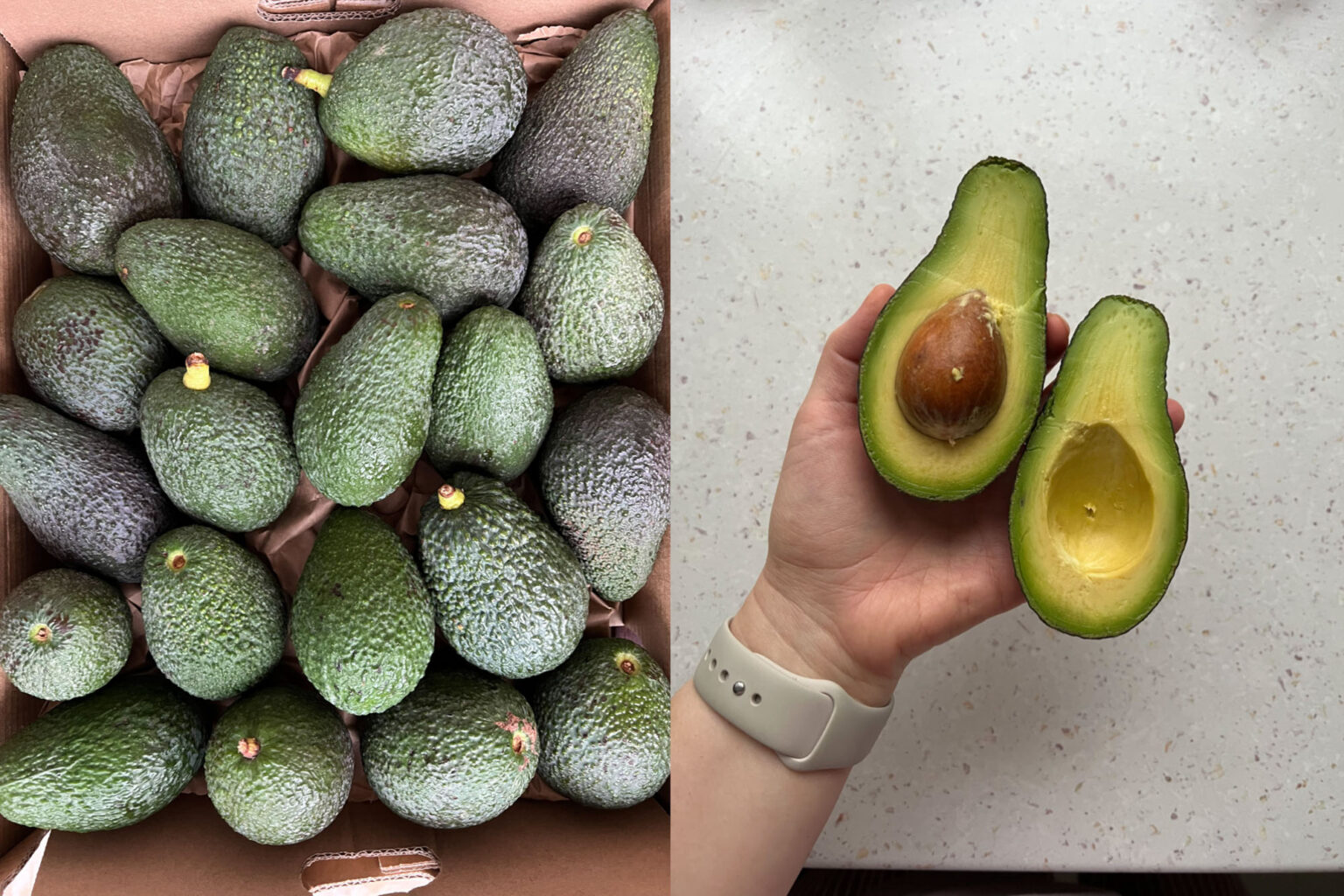 Salată cu avocado și creveți - Taste Bazaar